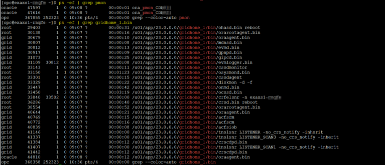 Exploring Oracle Exascale: Architecture, Storage Changes, and Why It ...
